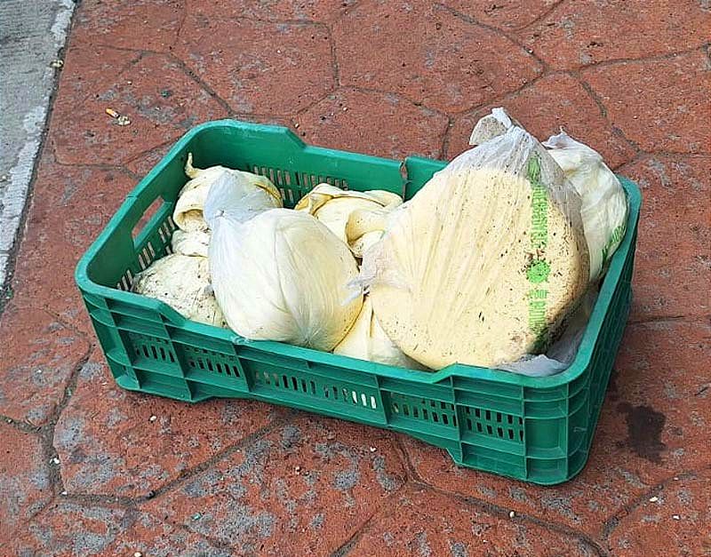 ¡SE LO LLEVA EL TREN, Y LA LIBRÓ! -Le Quiso Ganar el Paso, se Quedó con ...