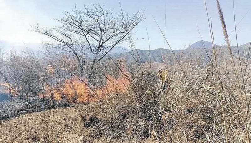 ¡reportan 116 Incendios Forestales Activos En MÉxico