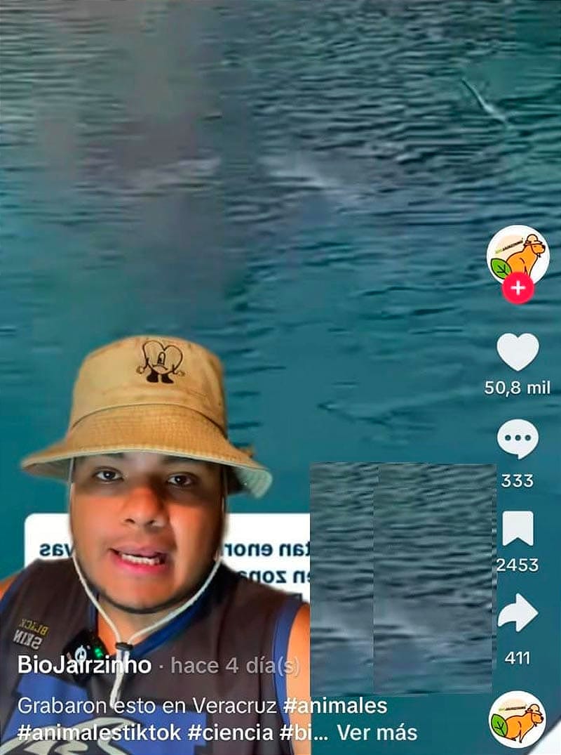 ¡REBATINGA POR LA MANTARRAYA GIGANTE! - *Hubo hasta "explicación ...