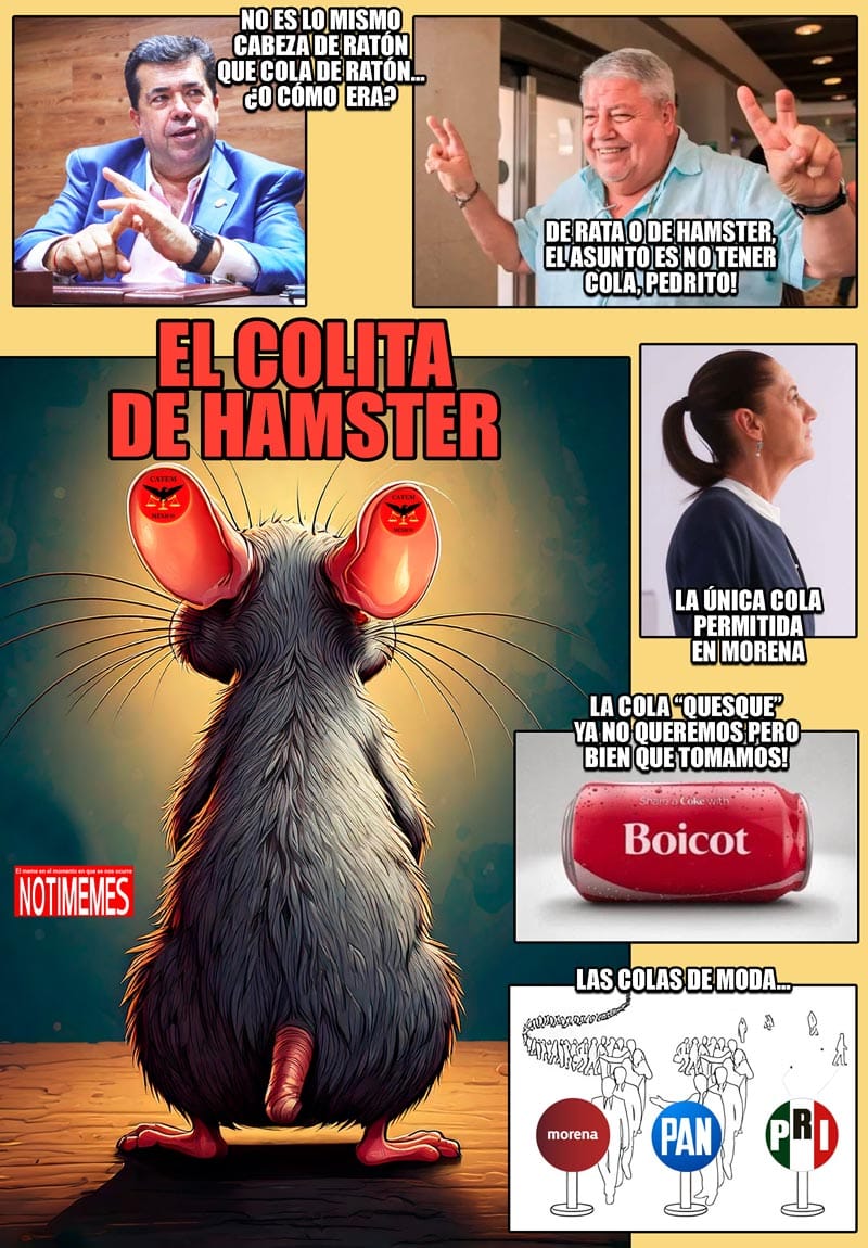 NOTI-MEME | - LA COLITA DE HAMSTER