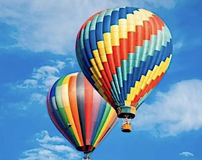 ¡HASTA VOLARON GRATIS!