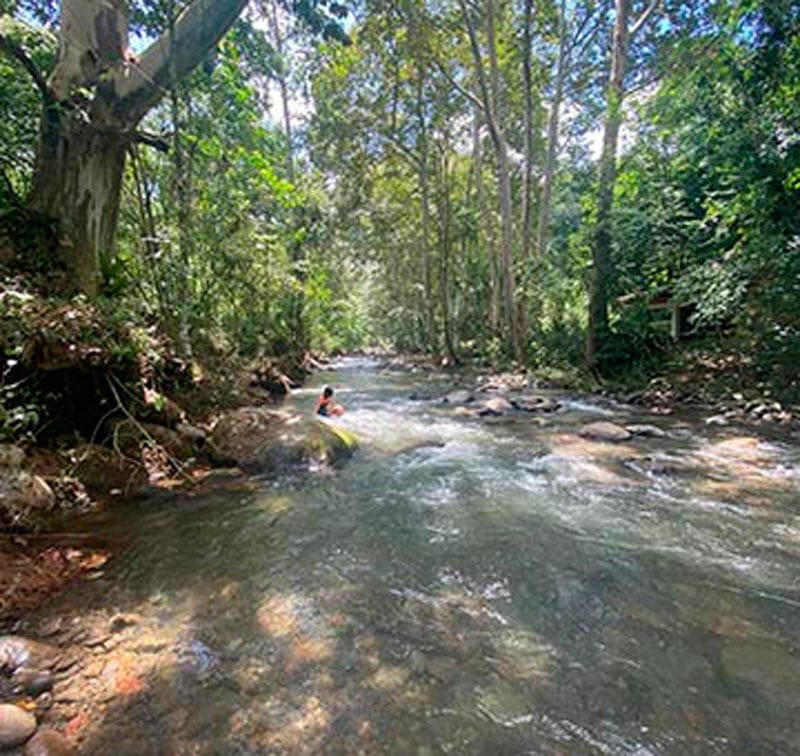 ¡ESTUDIAN EL RÍO JAMAPA!