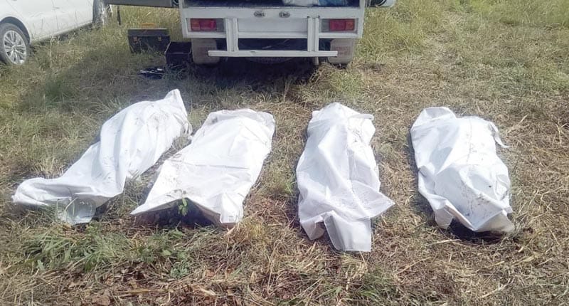 ¡HALLAN AL MENOS 38 CUERPOS EN FOSA CLANDESTINA DE ZAPOPAN!