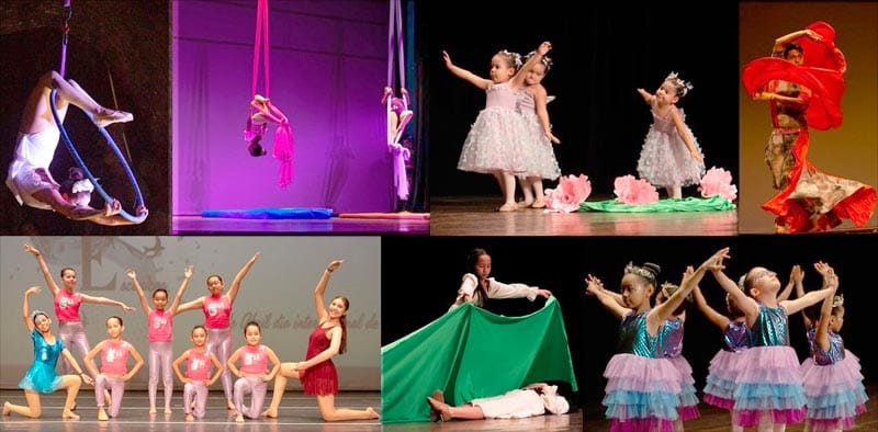 CARDUMEN OFRECE TALLERES GRATUITOS DE ARTES