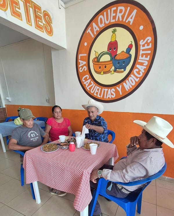 ¡INFLUENCER VERACRUZANO PONE TAQUERÍA!